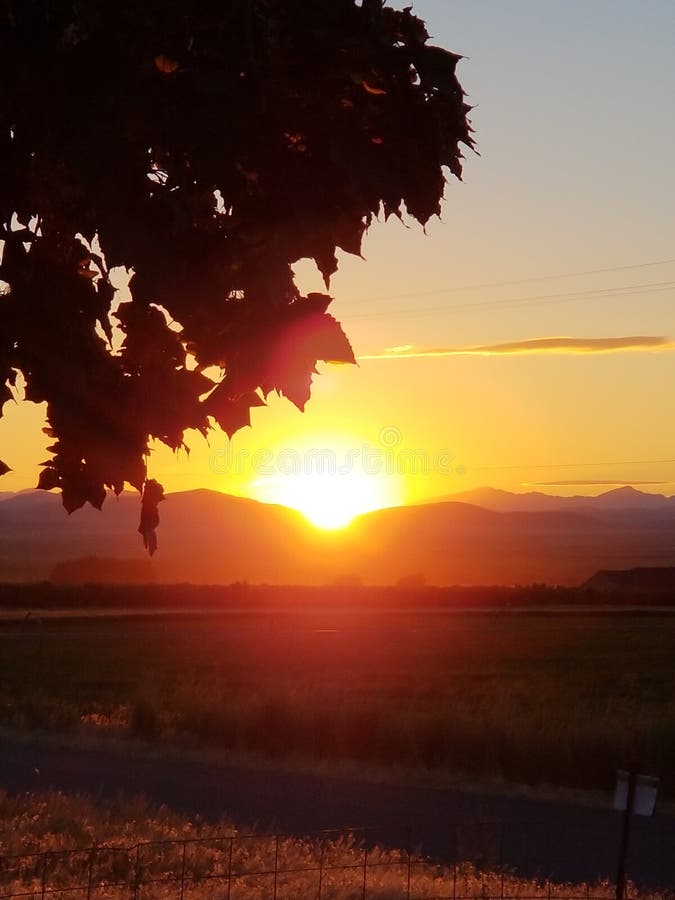 Maple Sunset stock photo. Image of maple, leaves, dappled - 144160696