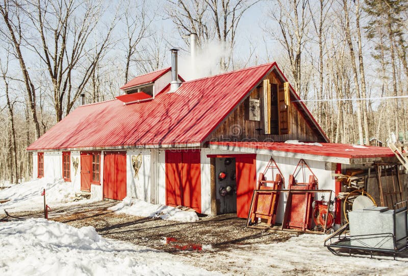 Maple Syrup Sugar Shack in Forest on Maple Season Stock Photo - Image ...