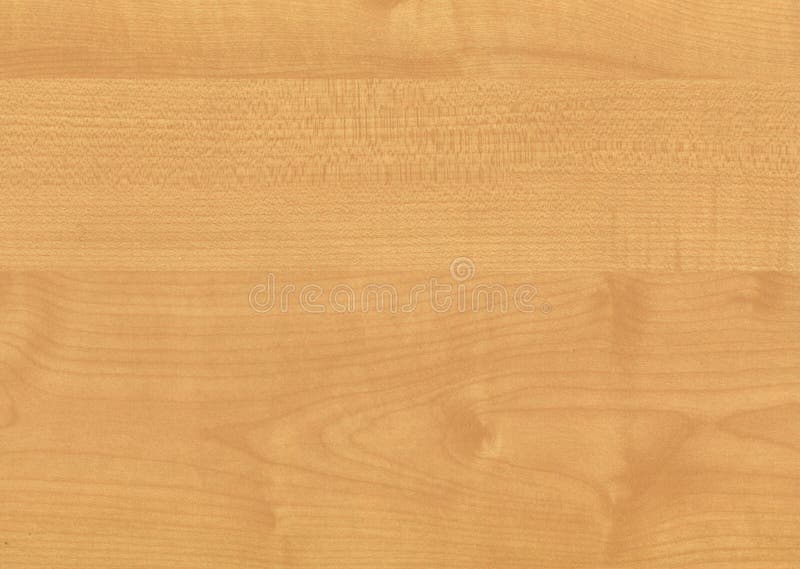 Maple Texture - Stock Image Stock Photo - Image of lightweight, parquet ...