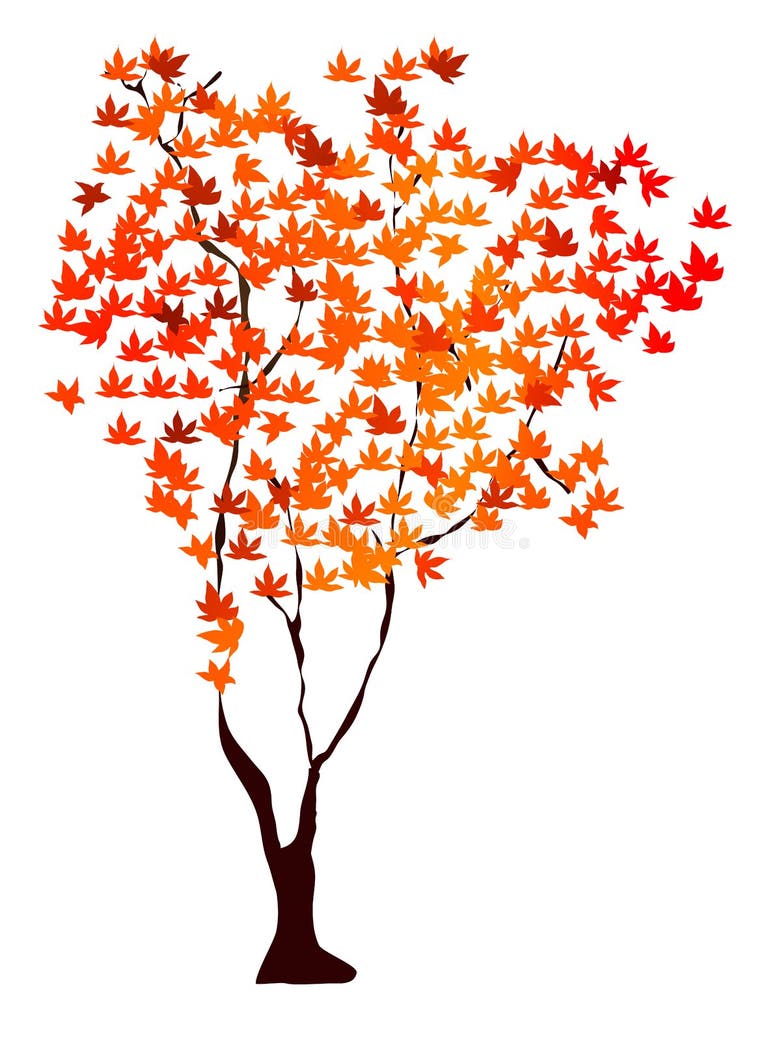 Seasonal Maple Tree Stock Illustrations – 75,036 Seasonal Maple Tree ...
