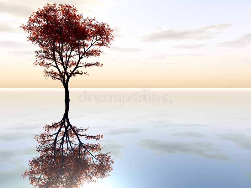 Maple Tree stock image. Image of cloud, isolated, foliage - 696819