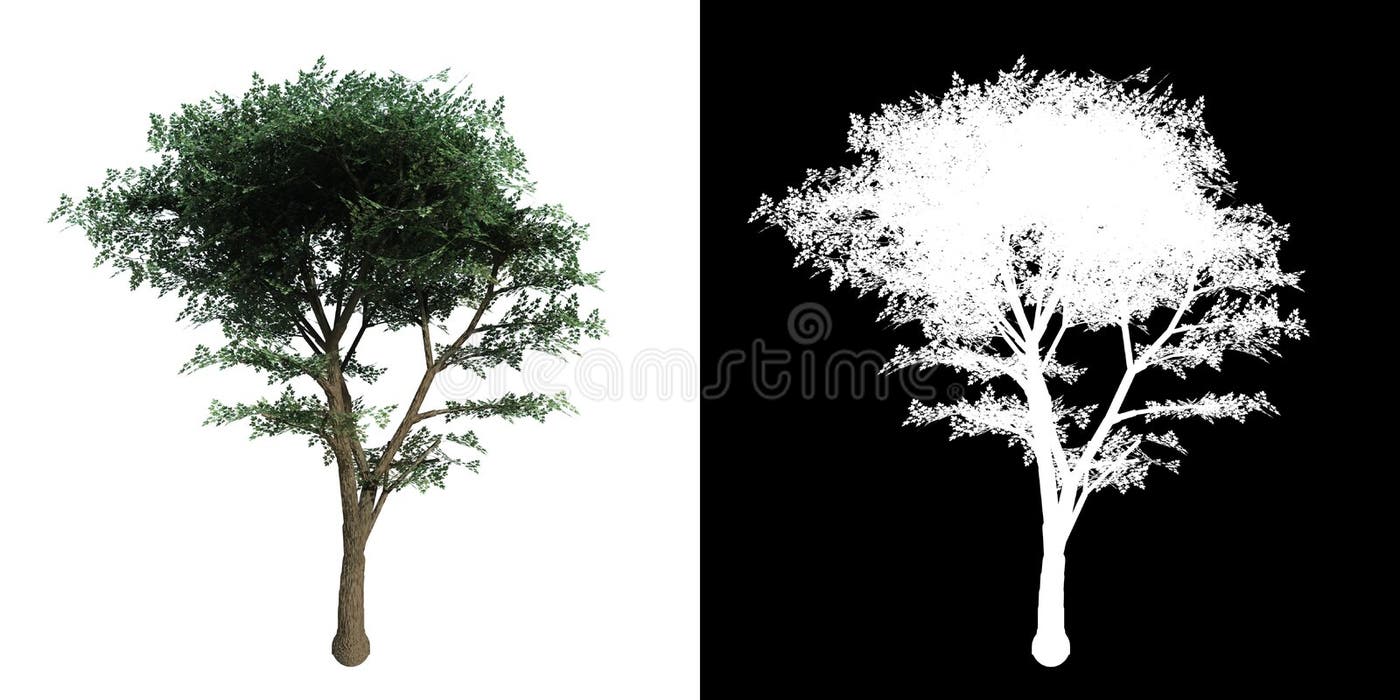 Alpha Texture Stock Illustrations – 7,840 Alpha Texture Stock ...