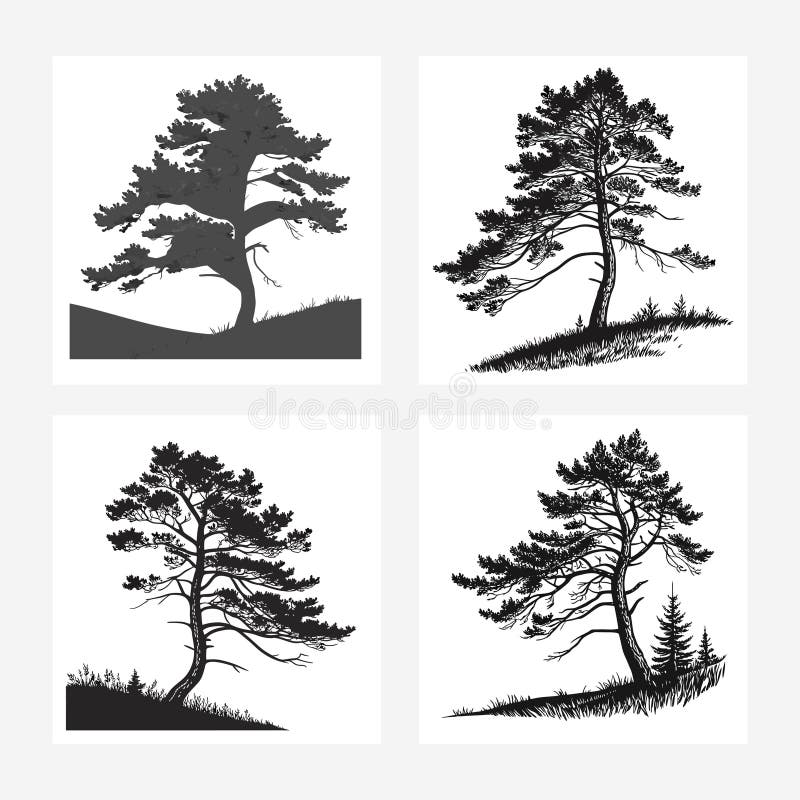 Maple Tree Black and White Vector Illustration. Stock Illustration ...