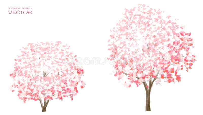 Vector Tree or Forest Side View Isolated on White Background for ...