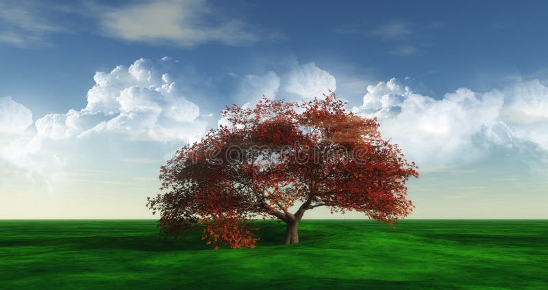 Maple Tree Landscape Widescreen Stock Illustration - Illustration of ...