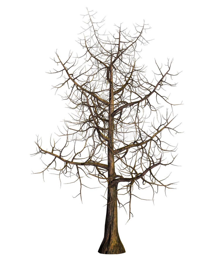 Bare Maple Tree Stock Illustrations – 868 Bare Maple Tree Stock Illustrations, Vectors & Clipart ...