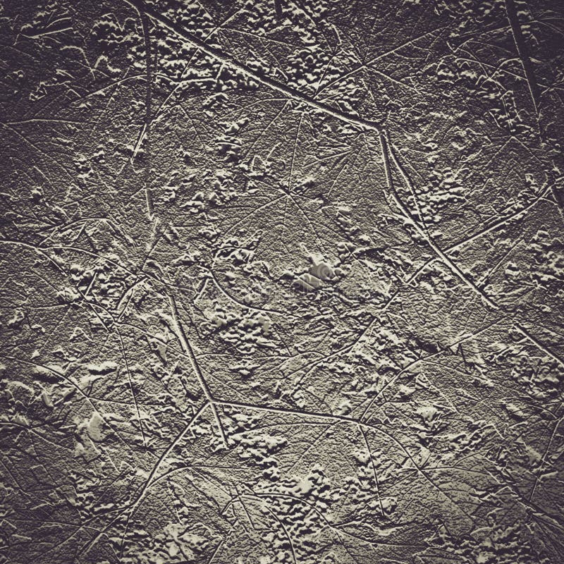 Maple Tree Leaves Rustic Texture Background Stock Image - Image of ...