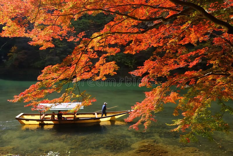 Maple tree and river stock image. Image of oregon, beautiful - 9293317