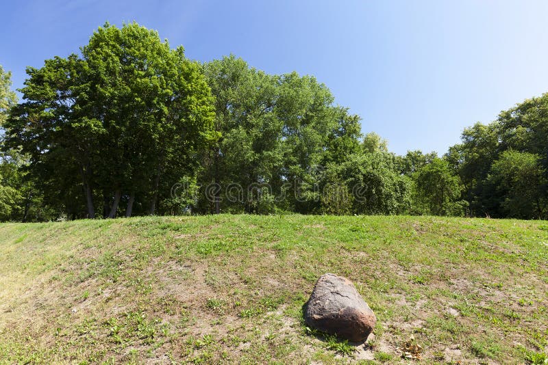 Maple tree in the spring stock photo. Image of backgrounds - 86064626