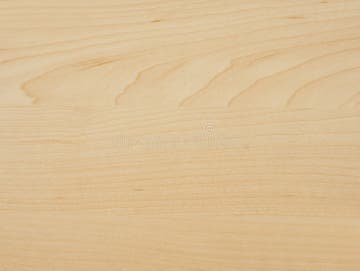Maple tree wood stock image. Image of floor, striped, flooring - 7180641