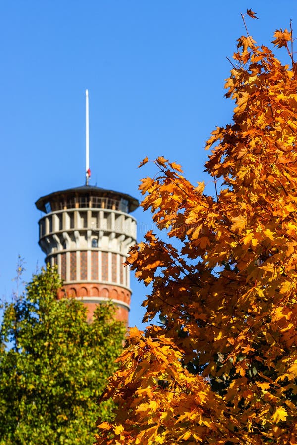 Maple Trees with Autumn Colors and a Tower Stock Image - Image of ...