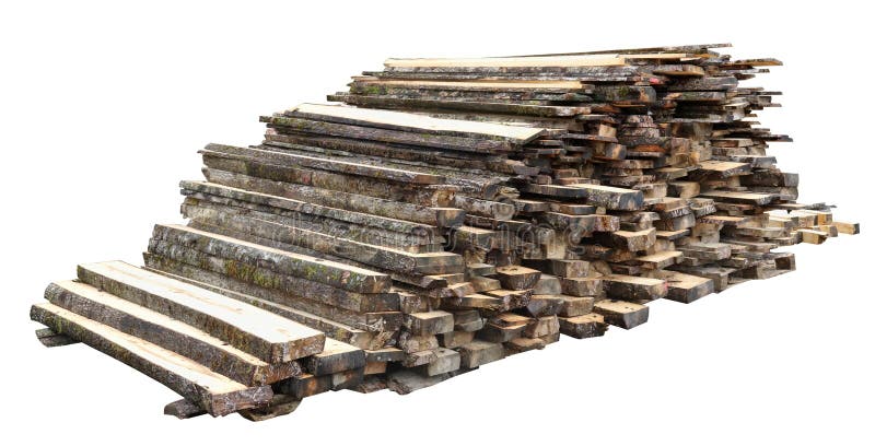 Maple Trees Cut into Thick Planks for Sale Isolated Stock Photo - Image ...
