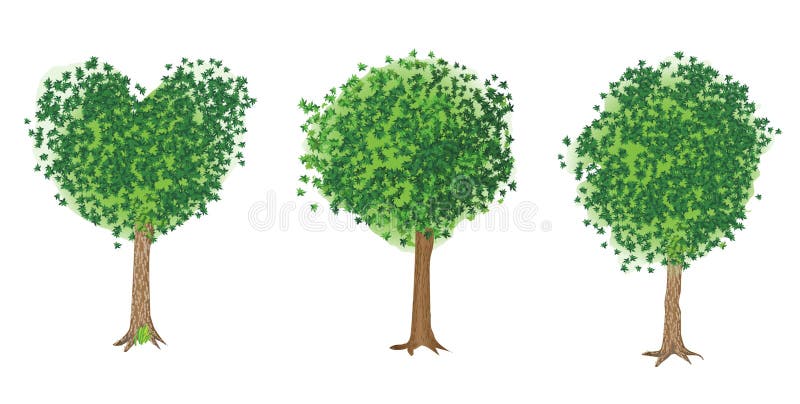 Young Tree Realistic Style. Stock Vector - Illustration of farm ...