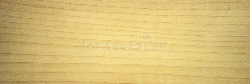 Maple veneer stock image. Image of yellow, veneer, texture - 54363245