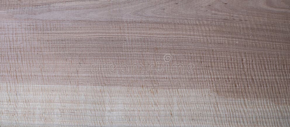 Maple Wood Has Tiger Stripe Stock Photo - Image of pendants, exotic ...