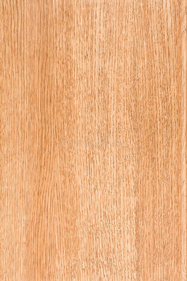 Maple wood pattern stock photo. Image of wood, brown - 34351872