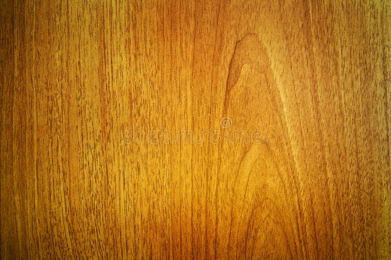Maple wood texture stock image. Image of indoors, exterior - 5735865