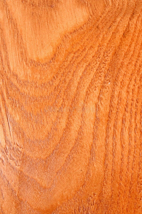Maple Wood Texture Background. Stock Photo - Image of hardwood ...