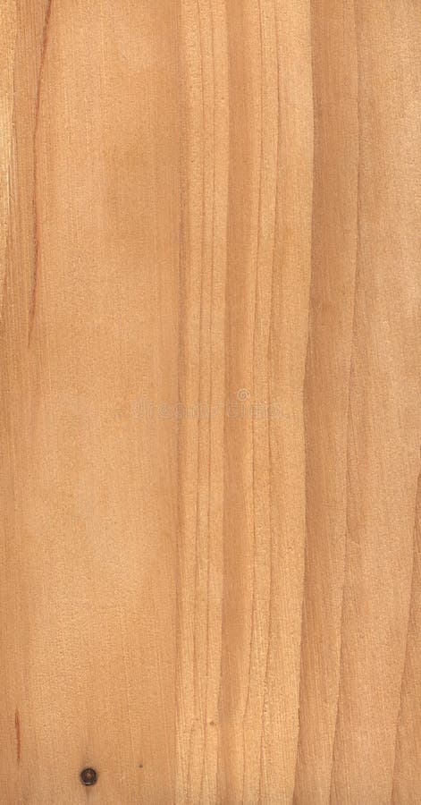 Maple Wood Texture stock image. Image of textured, flooring - 47070367