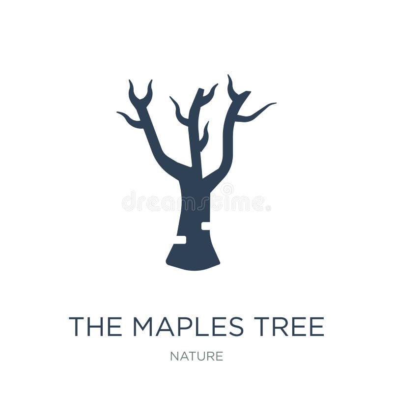 The Maples Tree Icon in Trendy Design Style. the Maples Tree Icon ...
