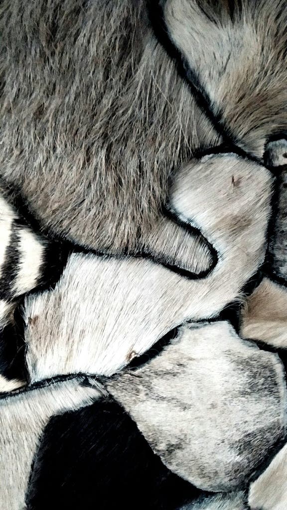 Mappa della pelle animale fotografia stock. Immagine di capelli - 55985408