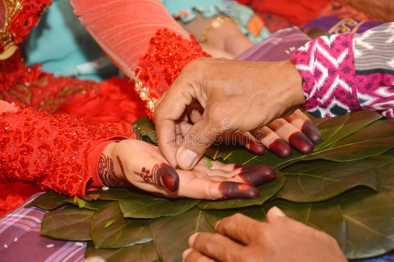 Mappacci stock photo. Image of bugis, sulawesi, ceremony - 312165192
