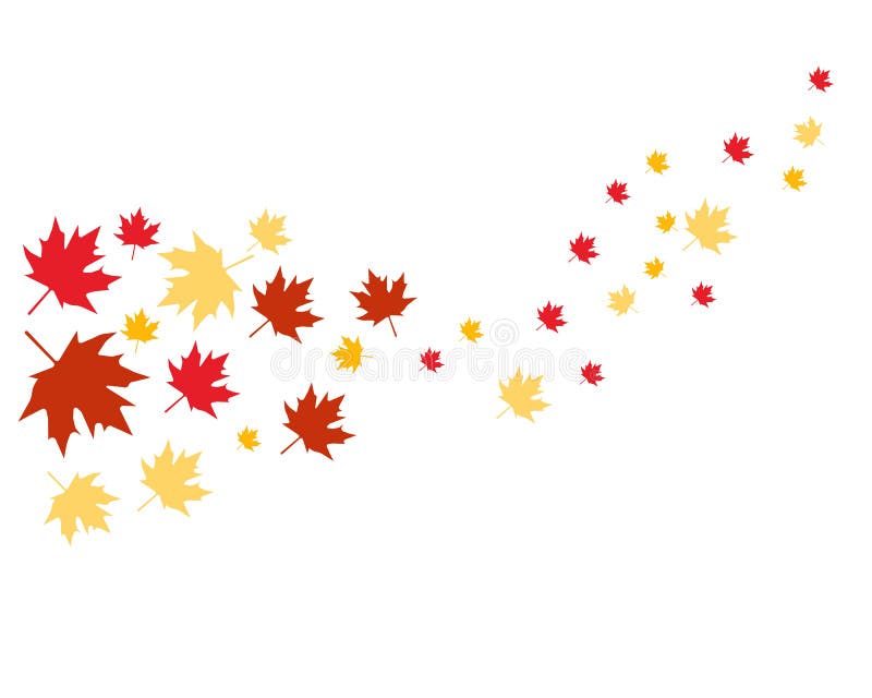 Mapple Leaves Logo and Symbol Vector Stock Vector - Illustration of ...