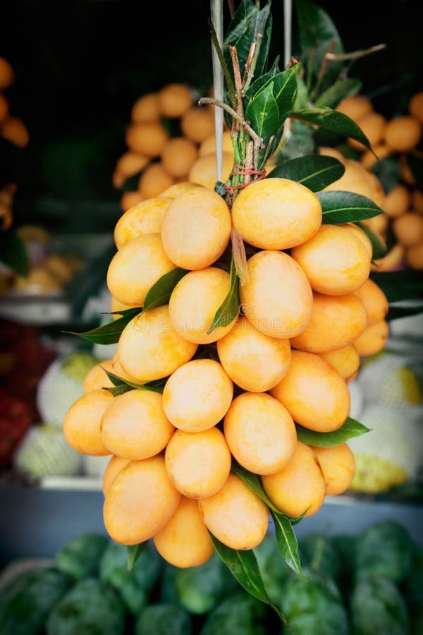 Maprang fruit stock image. Image of marketplace, color - 19983601
