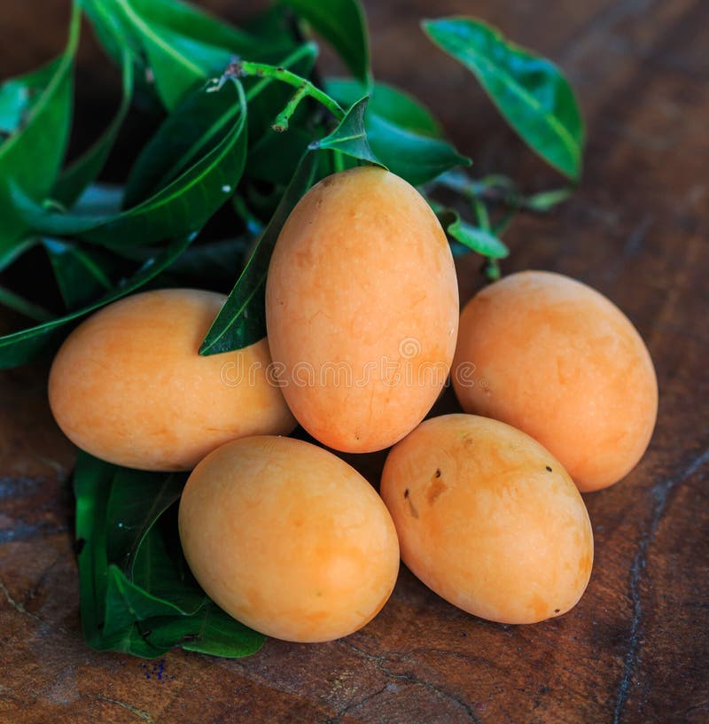 Maprang Marian Plum or Plum Mango Stock Photo - Image of fruit ...