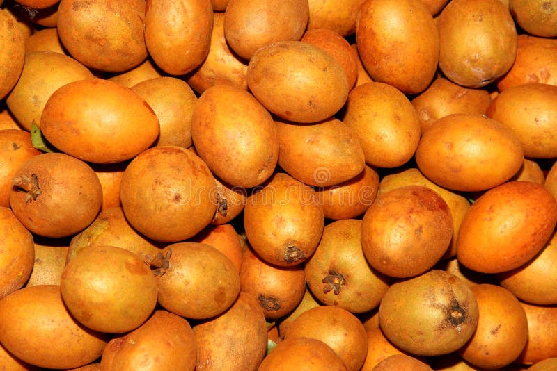 Maprang Thai fruit stock photo. Image of tropical, market - 30210574