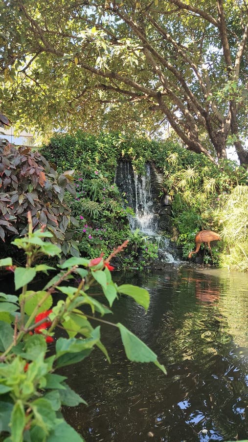 Mapro garden mahabaleshwar stock image. Image of view - 273713561