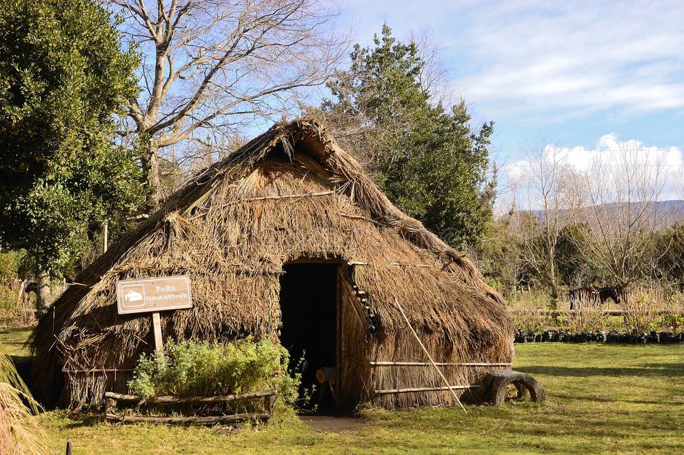 Mapuche hut stock image. Image of house, traditional - 37888039
