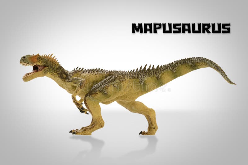 Dinosaur Mapusaurus Stock Illustrations – 65 Dinosaur Mapusaurus Stock ...