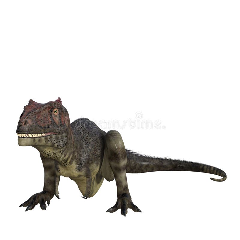 Mapusaurus Dinosaur Isolated on Tranparent Stock Image - Illustration ...