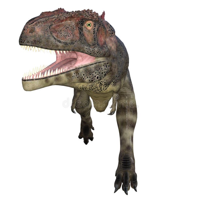 Mapusaurus Dinosaur Isolated on Tranparent Stock Image - Illustration ...