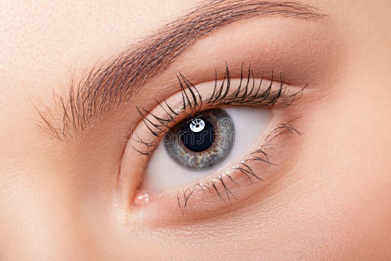Maquillaje natural del ojo foto de archivo. Imagen de ojos - 59349194