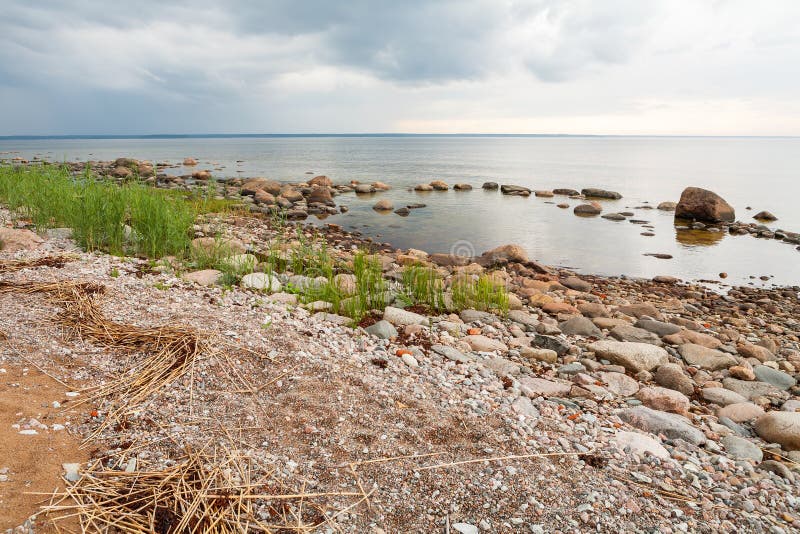 Linea Costiera Del Mar Baltico L'Estonia, UE Immagine Stock - Immagine ...