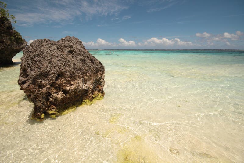 Mar claro bonito foto de stock. Imagem de campos, neve - 42469498
