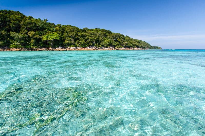 Mar Claro Tropical, Ilha De Tachai, Andaman Imagem de Stock - Imagem de ...
