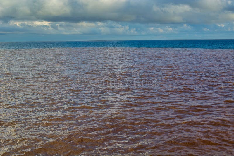 Mar contaminado imagen de archivo. Imagen de conciencia - 93417945