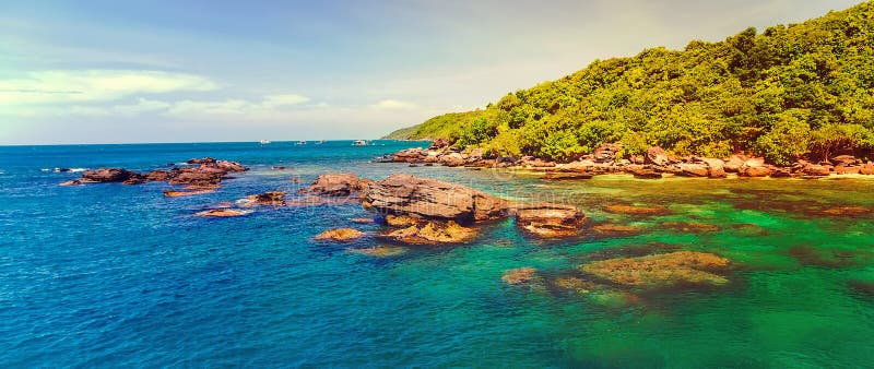 Isla de la selva del mar imagen de archivo. Imagen de arena - 59075025