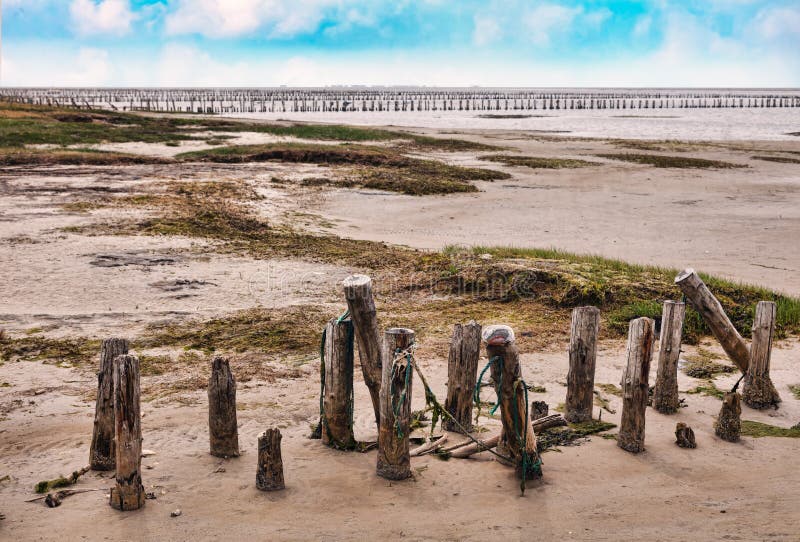 Mar de Wadden imagen de archivo. Imagen de onda, fango - 23616039