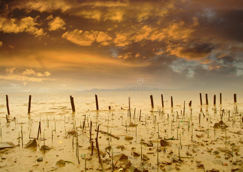 Mar horizontal foto de archivo. Imagen de escena, nubes - 36083856