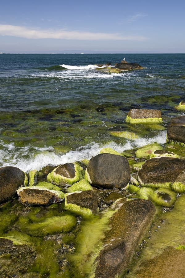 La Bulgaria, Mar Nero Paesaggio Costiero Promontorio Di Kaliakra ...