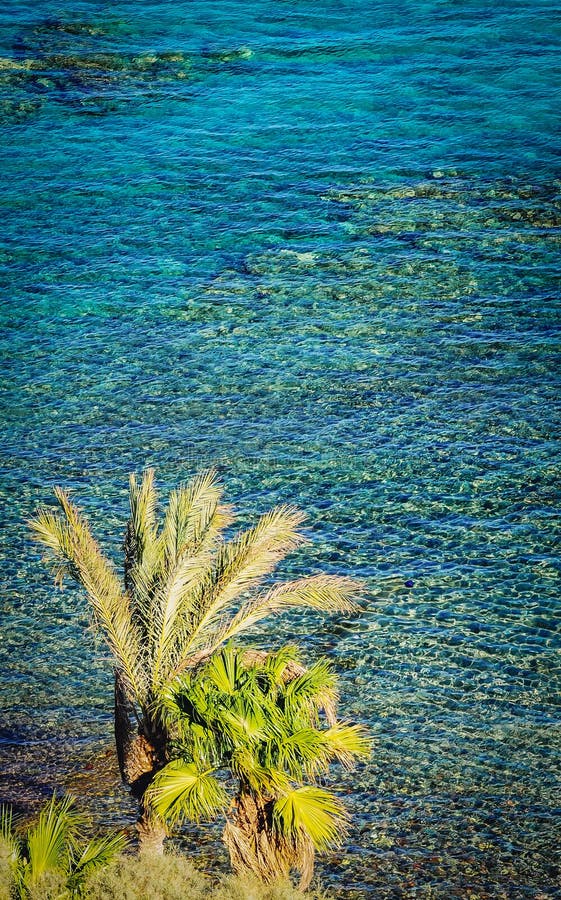 Mar Rojo en Egipto foto de archivo. Imagen de egipto - 121400654