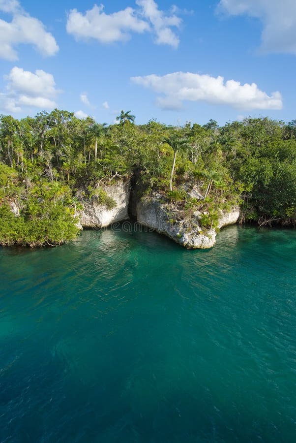 16,339 Mar Y Selva Fotos - Libres de Derechos y Gratuitas de Dreamstime