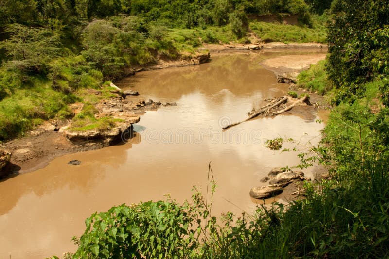 Mara River stock photo. Image of masai, travel, green - 19163634
