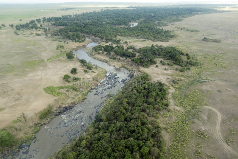 Mara River stock photo. Image of reserve, landscape, wildlife - 96315512