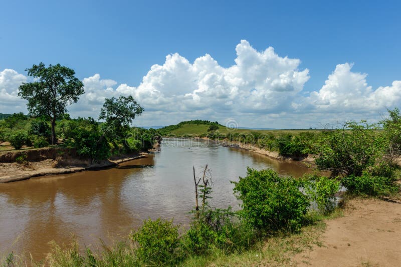 Mara River stock image. Image of wildlife, savannah, nature - 66157759