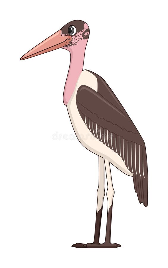 African Marabou Stock Illustrations – 64 African Marabou Stock ...